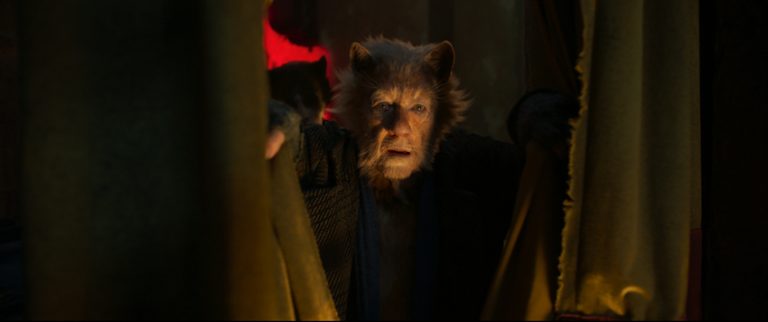 Watch the First Trailer for New CATS Movie on A Big Screen | Celebrate ...